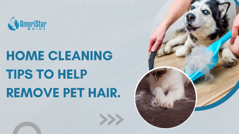 Best Tips for Cleaning Up Dog Hair Around the House