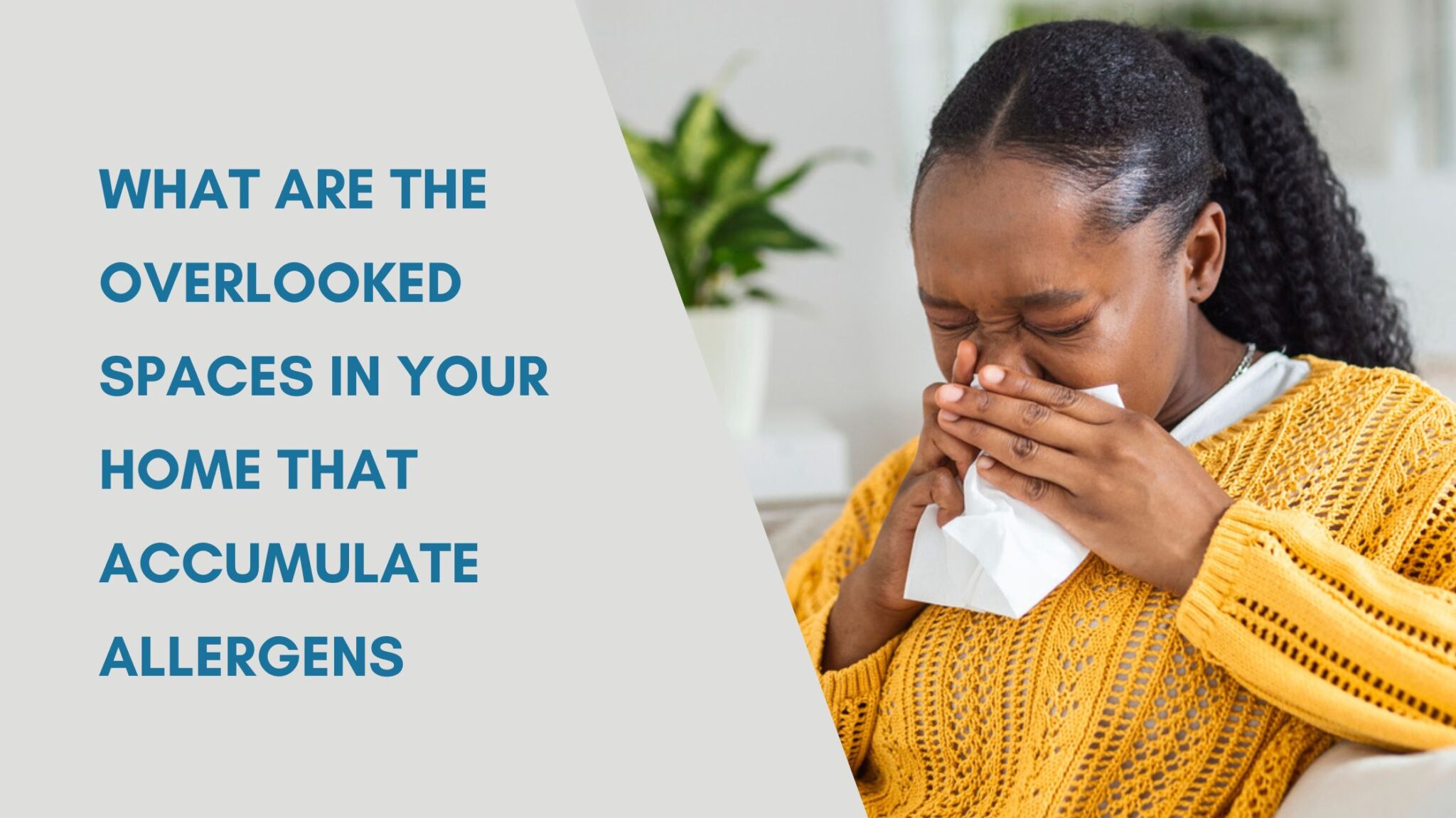 What Are The Overlooked Spaces in Your Home That Accumulate Allergens